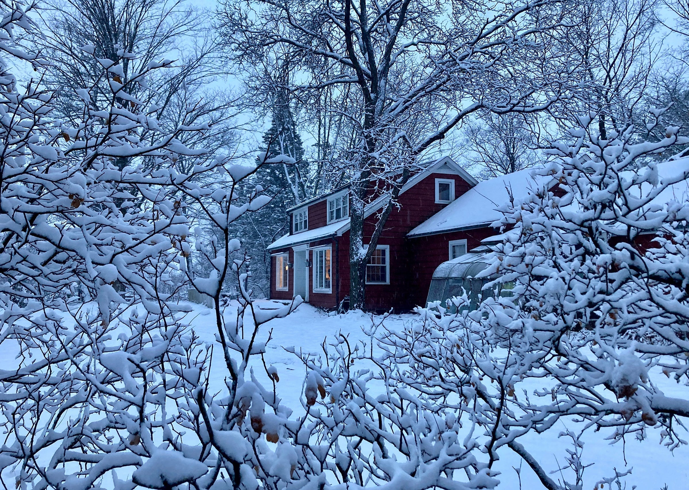 How to Winterize Your Retractable Hose Reel: A 5-Step Guide to Prevent